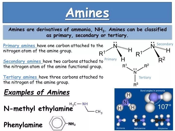 PPT - Amines PowerPoint Presentation, free download - ID:5335723
