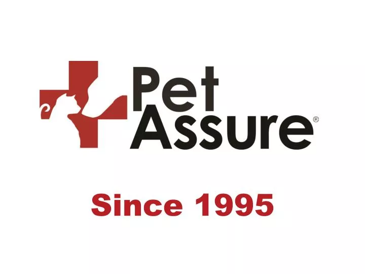 PPT - Since 1995 PowerPoint Presentation, free download - ID:5337705