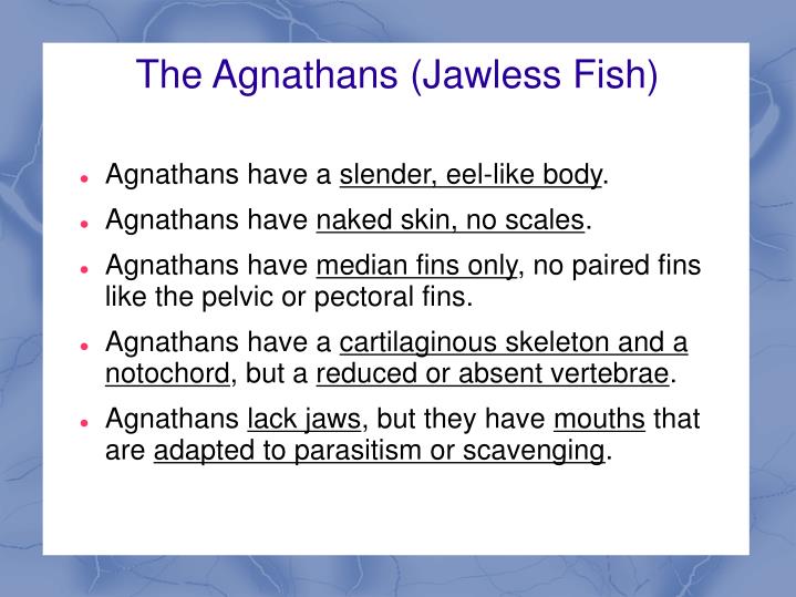 PPT - Chapter 16 Notes, Fish PowerPoint Presentation - ID:5338364