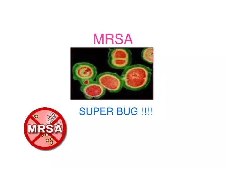 PPT - MRSA PowerPoint Presentation, free download - ID:5338617