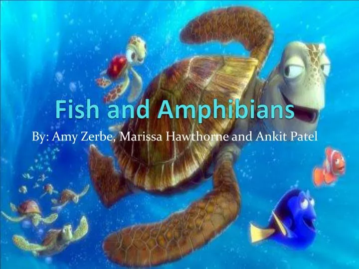 PPT - Fish and Amphibians PowerPoint Presentation, free download - ID ...