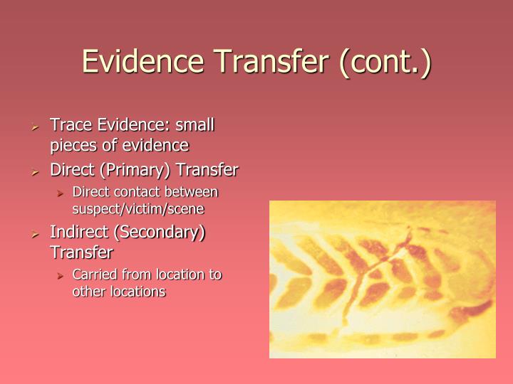 Examples Of Transfer Evidence at Lewis Burcham blog