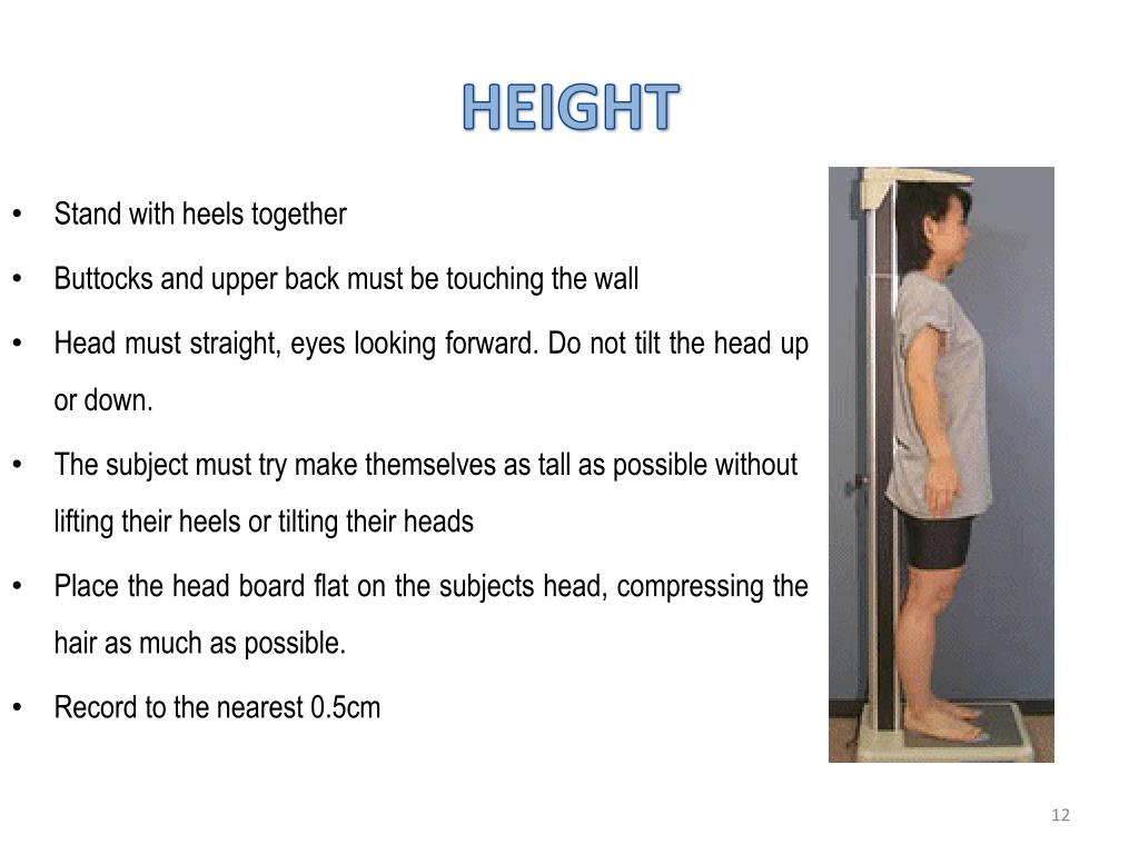 Ppt Body Mass Index Hip To Waist Ratio Powerpoint Presentation Free