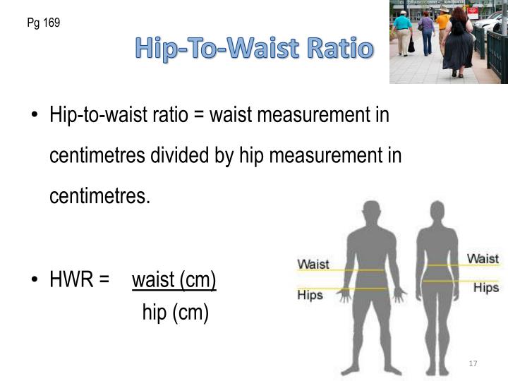 Ppt Body Mass Index Hip To Waist Ratio Powerpoint Presentation Id