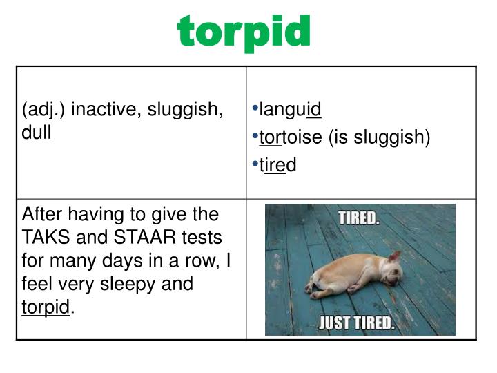 PPT - Level F Vocabulary Unit #9 PowerPoint Presentation - ID:5341775