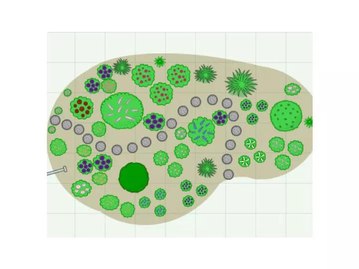 PPT - River Birch (Betula nigra) Inkberry (Ilex glabra) Summersweet ...