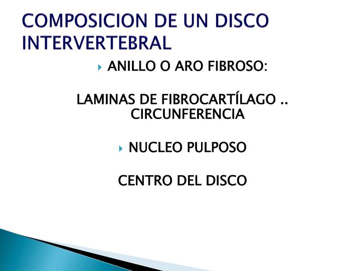 PPT - HUESOS DE LA COLUMNA VERTEBRAL PowerPoint Presentation - ID:5342558