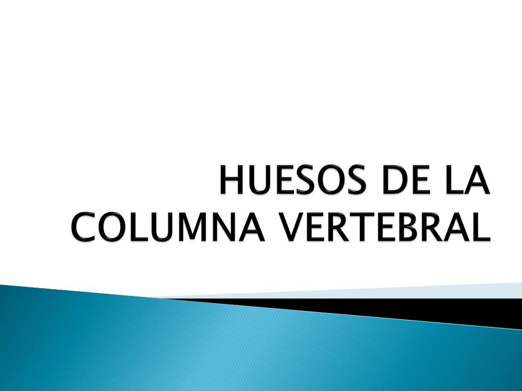 Ppt Huesos De La Columna Vertebral Powerpoint Presentation Free