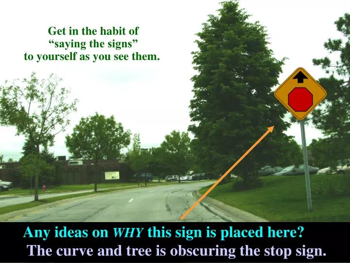 PPT - Any ideas on WHY this sign is placed here? PowerPoint ...