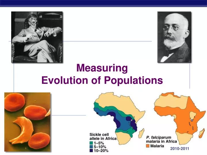 PPT - Measuring Evolution of Populations PowerPoint Presentation, free ...
