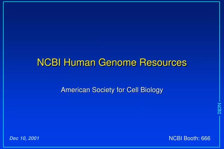 PPT - NCBI Human Genome Resources PowerPoint Presentation, free ...