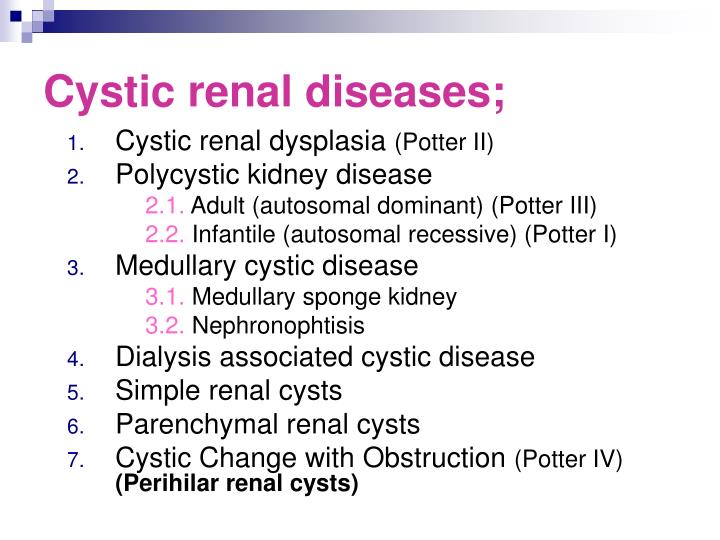 PPT - Cystic Diseases of Kidneys PowerPoint Presentation - ID:5348764