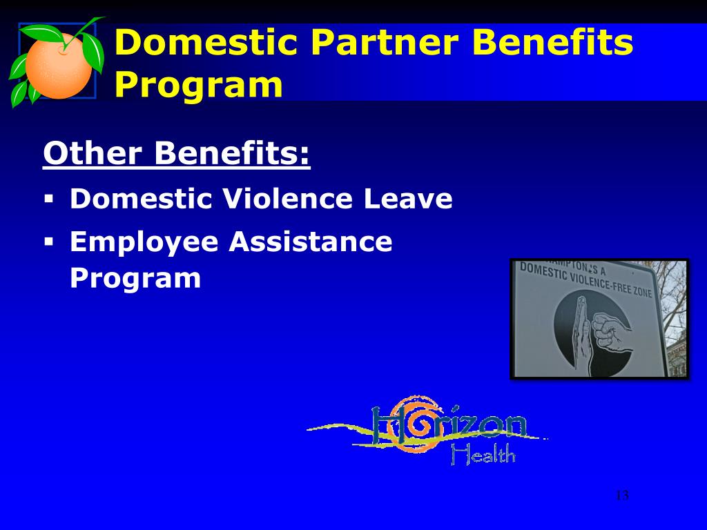 PPT - Domestic Partner Benefits April 19, 2011 PowerPoint Presentation ...