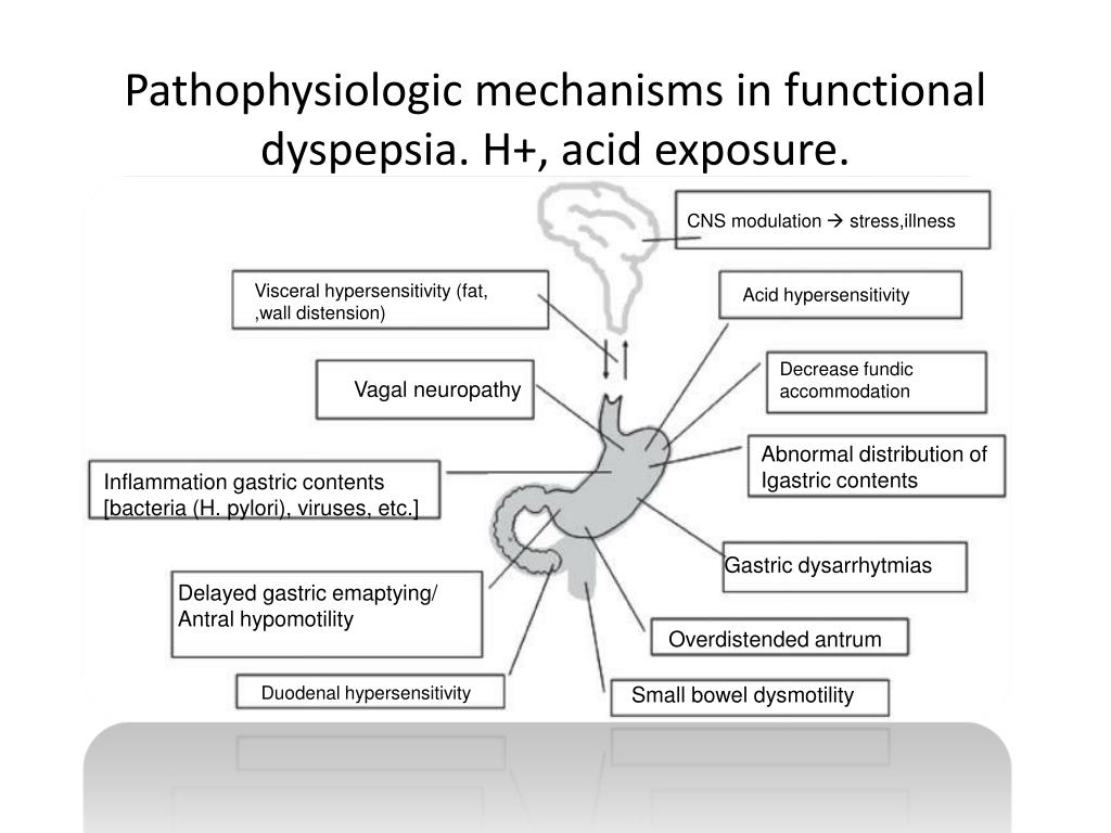 PPT - PEPTIC ULCER AND NON ULCER DYSPEPSIA PowerPoint Presentation ... PPT - PEPTIC ULCER AND NON ULCER DYSPEPSIA PowerPoint Presentation ...