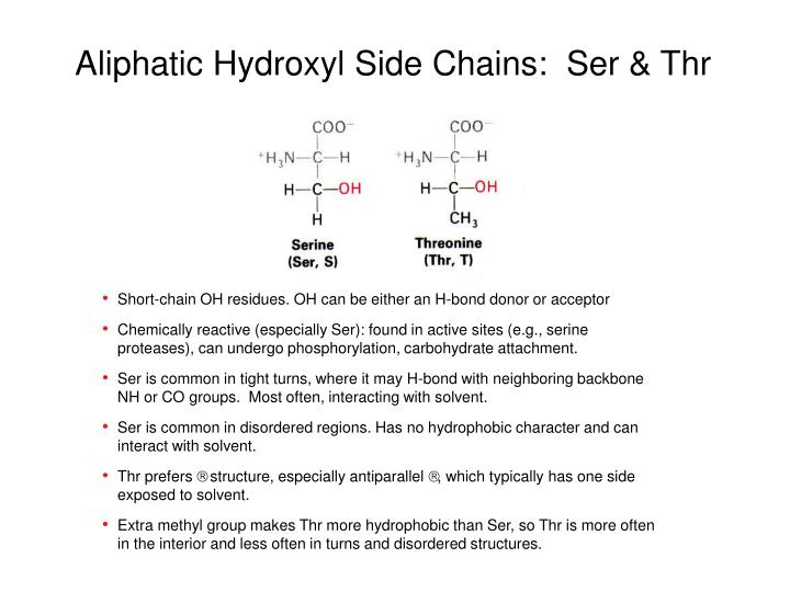 PPT - Molecular Cell Biology PowerPoint Presentation - ID:5351050