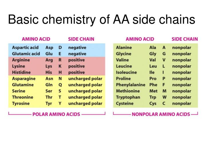 PPT - Molecular Cell Biology PowerPoint Presentation - ID:5351050