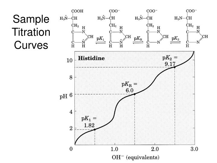 PPT - Molecular Cell Biology PowerPoint Presentation - ID:5351050