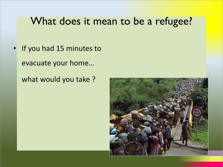 PPT - Refugee 101 for Healthcare Providers PowerPoint Presentation - ID ...