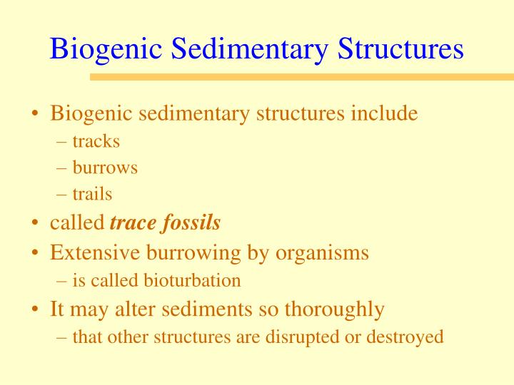 PPT - Sedimentary Rocks— The Archives of Earth History PowerPoint ...