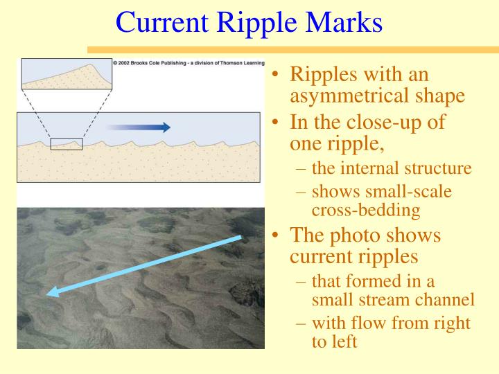 PPT - Sedimentary Rocks— The Archives of Earth History PowerPoint ...