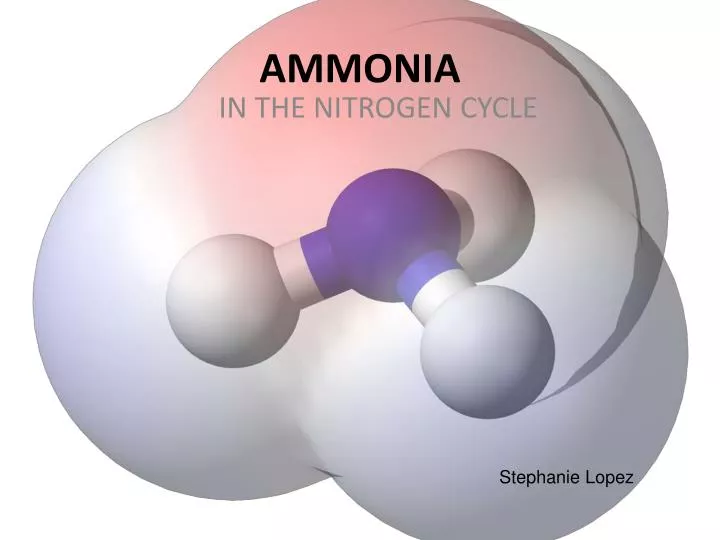 PPT - AMMONIA PowerPoint Presentation, free download - ID:5353405