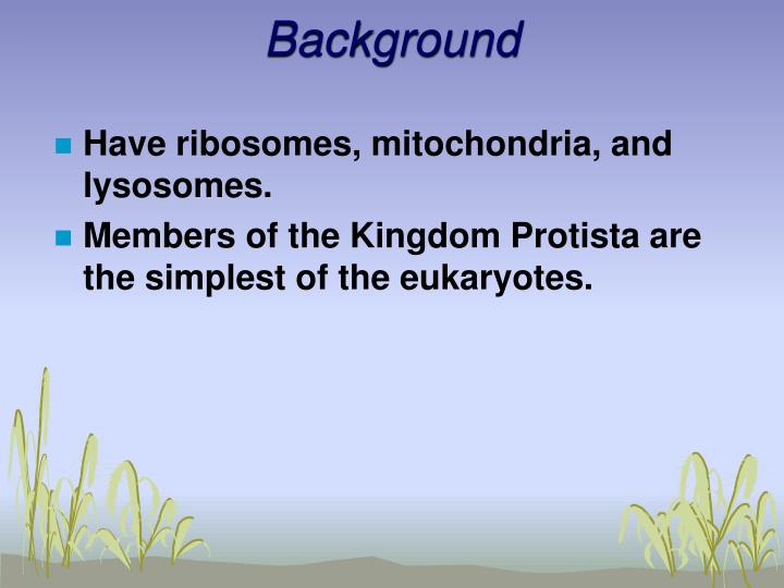 PPT - Kingdom Protista PowerPoint Presentation - ID:5354476