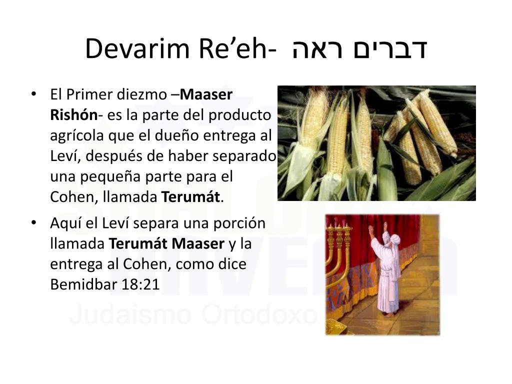 PPT - CONCEPTOS JUDIOS Clase #47 – Diezmo y Tzedaka PowerPoint Presentation - ID:5356656