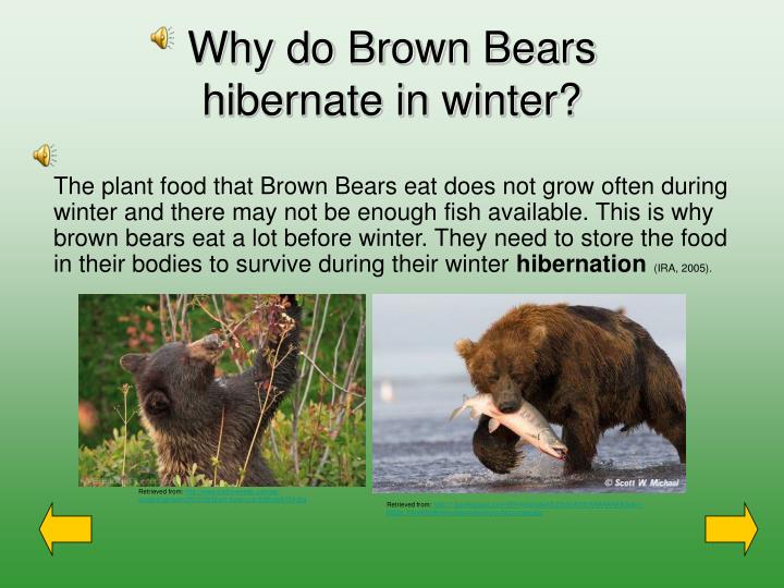PPT - Seasons Affect Plants and Animals PowerPoint Presentation - ID ...