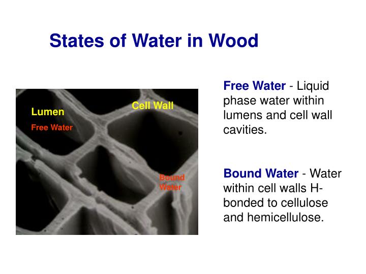 PPT - Wood and Water PowerPoint Presentation - ID:5359698