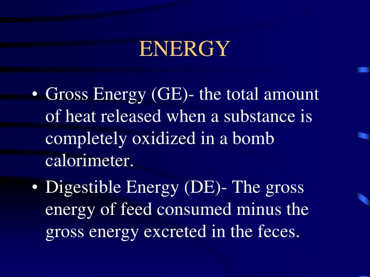 PPT - Animal Nutrition PowerPoint Presentation - ID:5362586