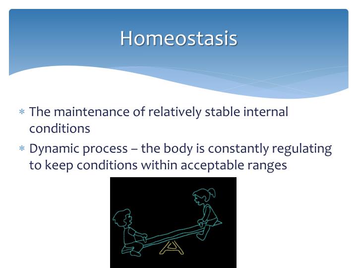 PPT - Homeostasis PowerPoint Presentation - ID:5362923