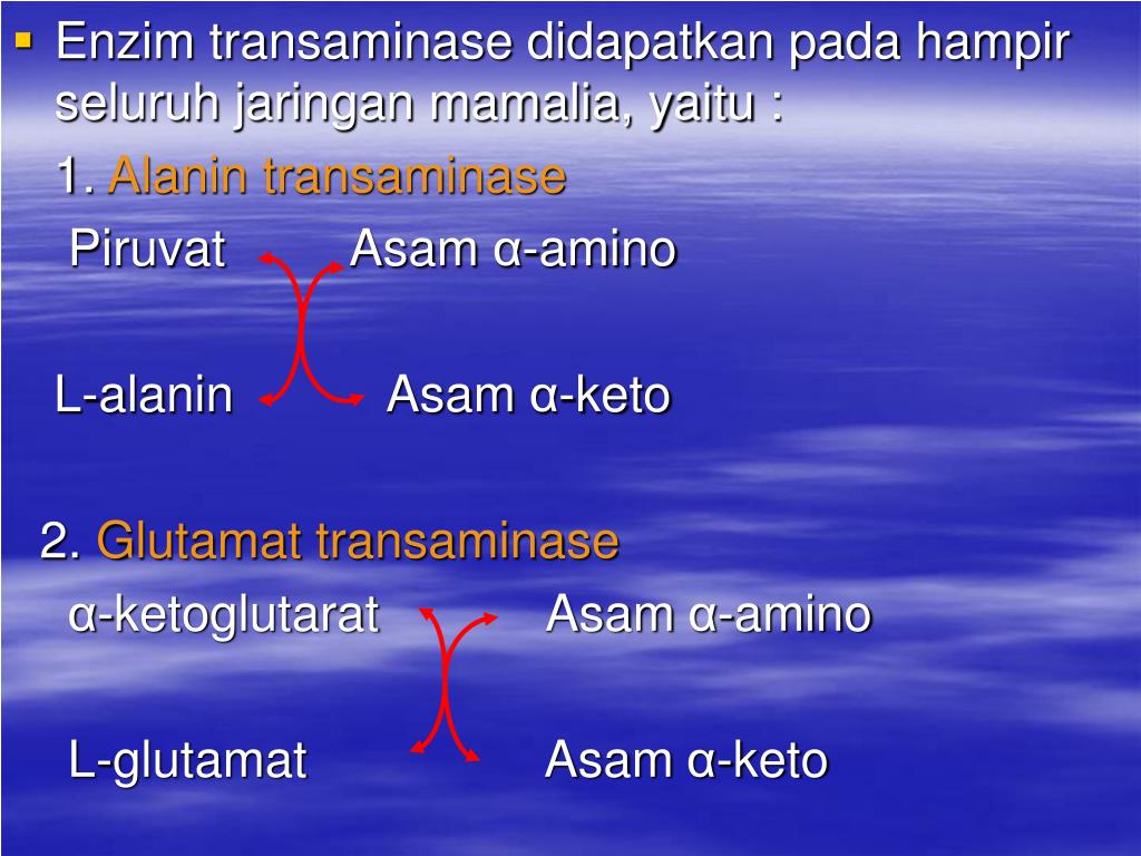 PPT - METABOLISME PROTEIN DAN ASAM AMINO PowerPoint Presentation, free ...