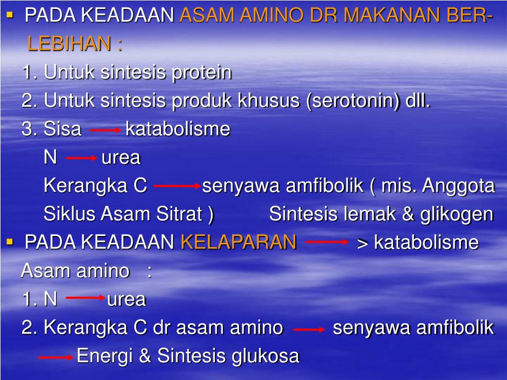 PPT - METABOLISME PROTEIN DAN ASAM AMINO PowerPoint Presentation, free ...