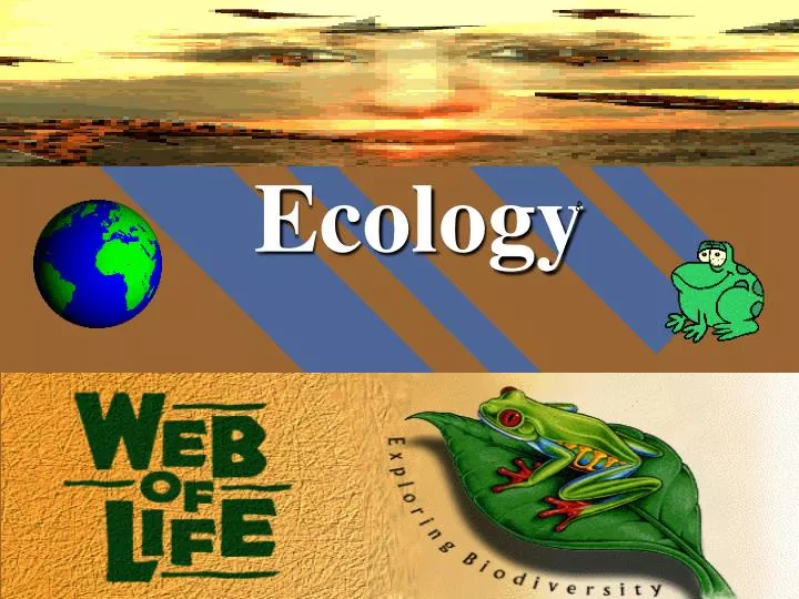 PPT - Ecology PowerPoint Presentation, free download - ID:5363398