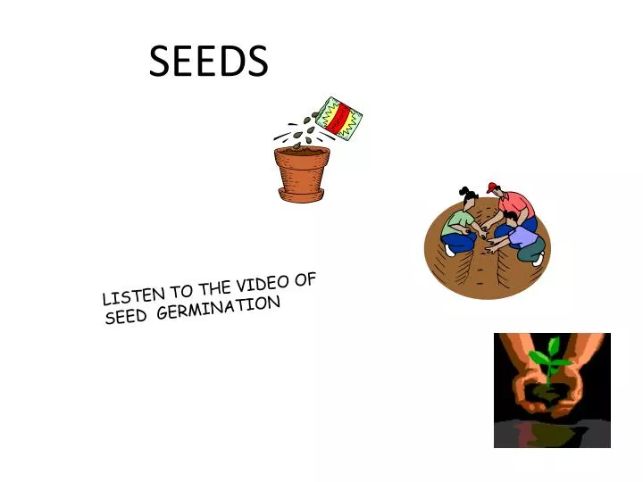 PPT - SEEDS PowerPoint Presentation, free download - ID:5364266