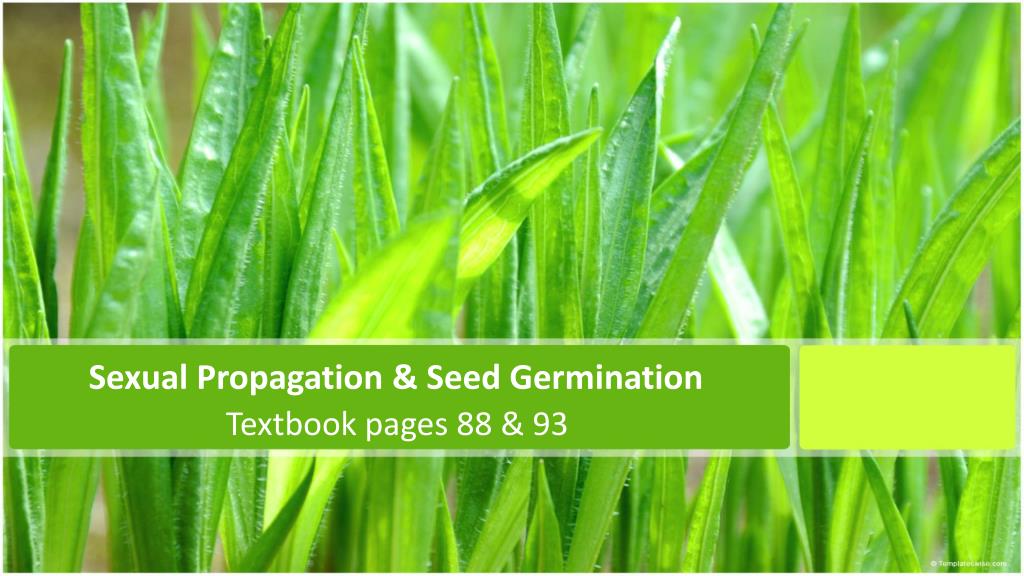 Ppt Sexual Propagation And Seed Germination Powerpoint Presentation