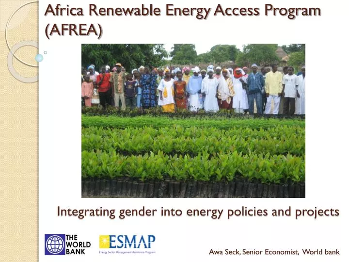PPT - Africa Renewable Energy Access Program (AFREA) PowerPoint ...