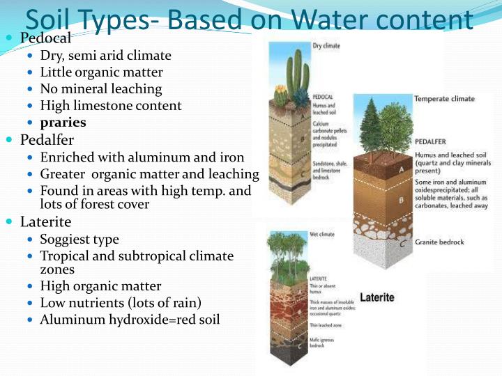 PPT - Soil PowerPoint Presentation - ID:5364770