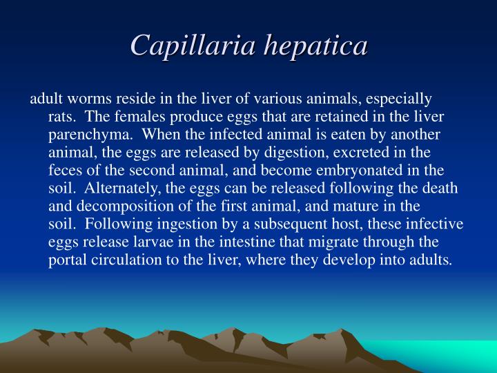 PPT - parasitology PowerPoint Presentation - ID:5364925