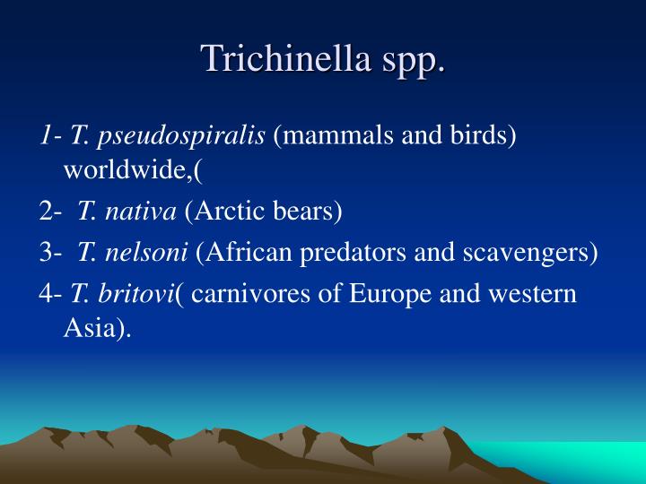 PPT - parasitology PowerPoint Presentation - ID:5364925