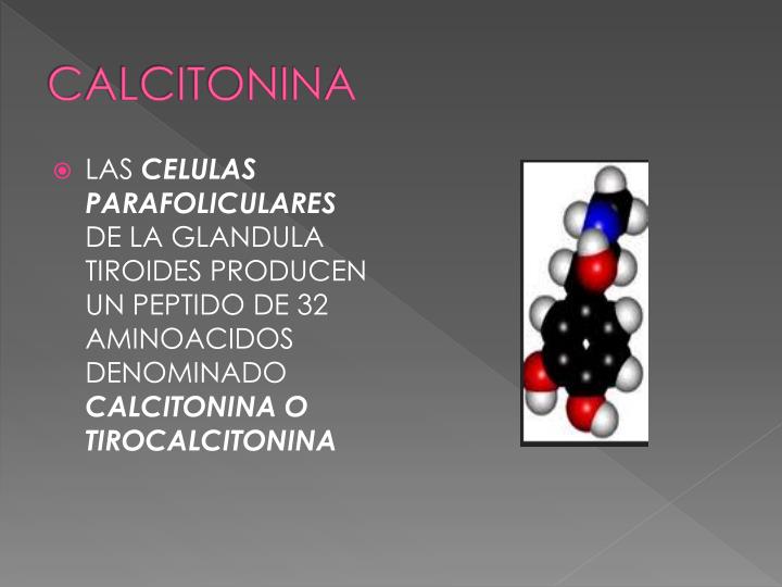 PPT - HOMEOSTASIS DEL CALCIO PowerPoint Presentation - ID:5369383
