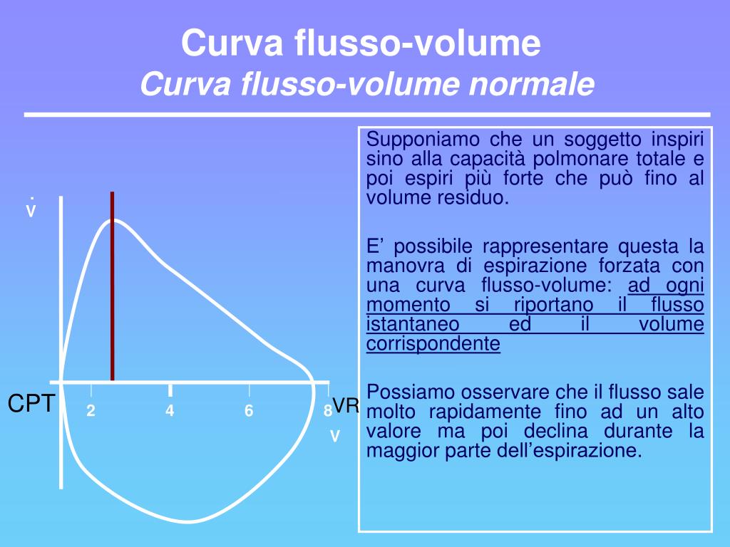 PPT - LEZIONI DI FISIOPATOLOGIA RESPIRATORIA PowerPoint Presentation ...