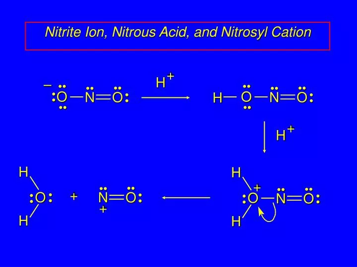PPT - Nitrite Ion, Nitrous Acid, and Nitrosyl Cation PowerPoint ...