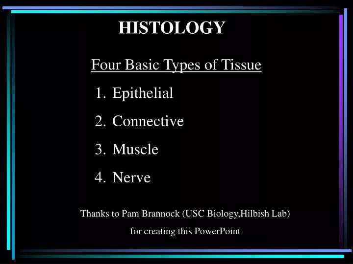 PPT - HISTOLOGY PowerPoint Presentation, free download - ID:5372140